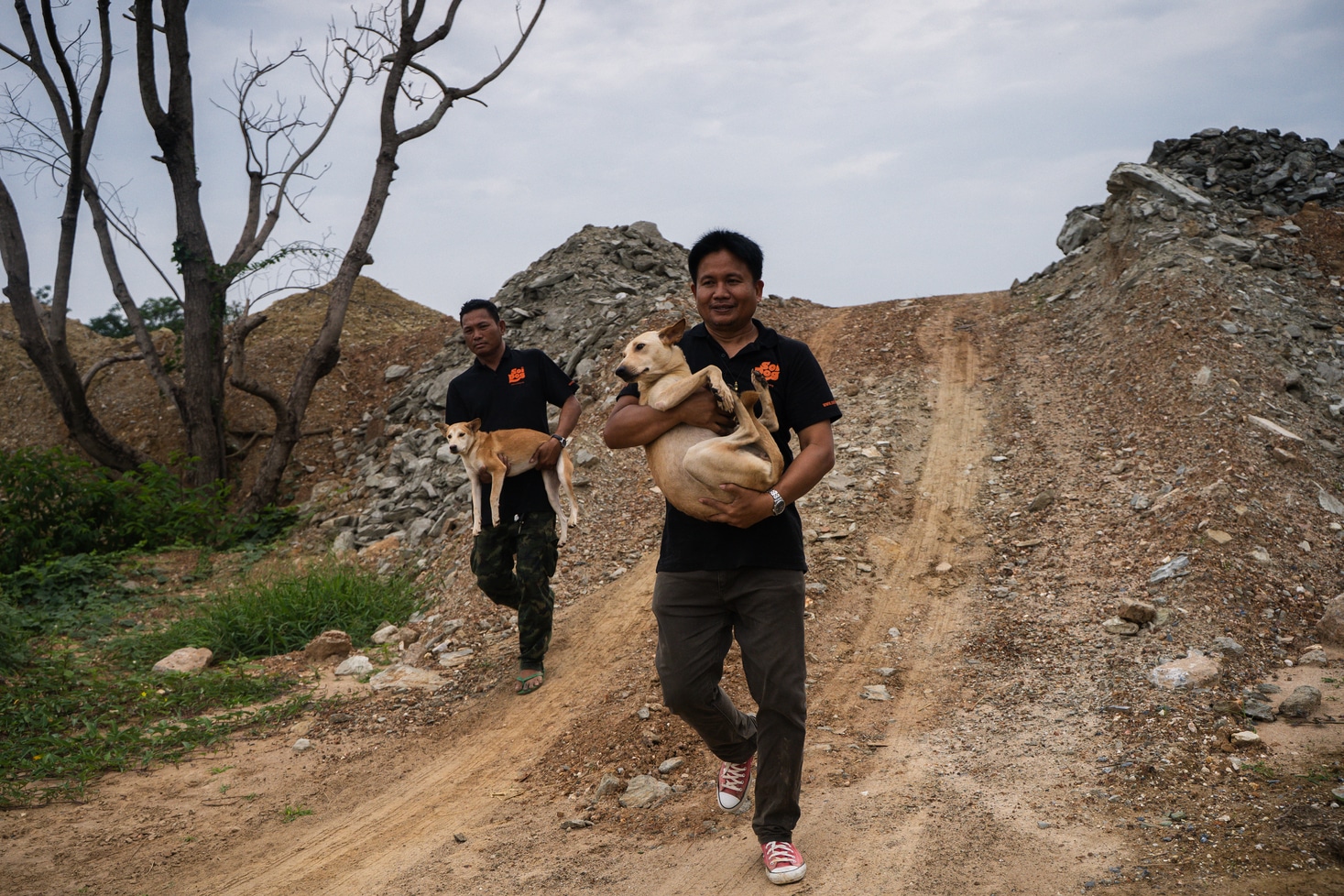 Soi Dog Foundation Helps Hundreds Of Stray Dogs At A Landfill Site